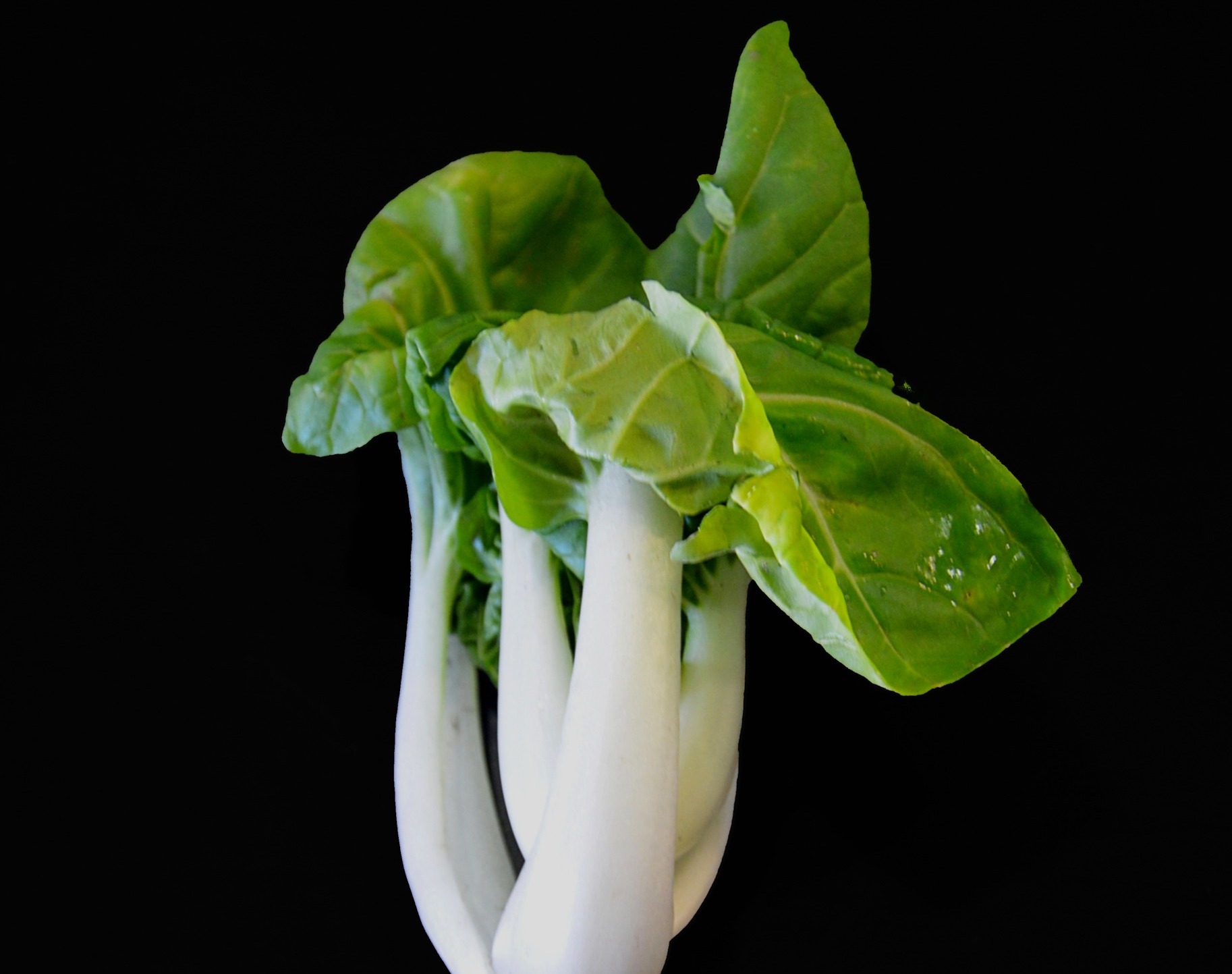 Pak Choi con paté de berenjena y tomate - Cruditeka